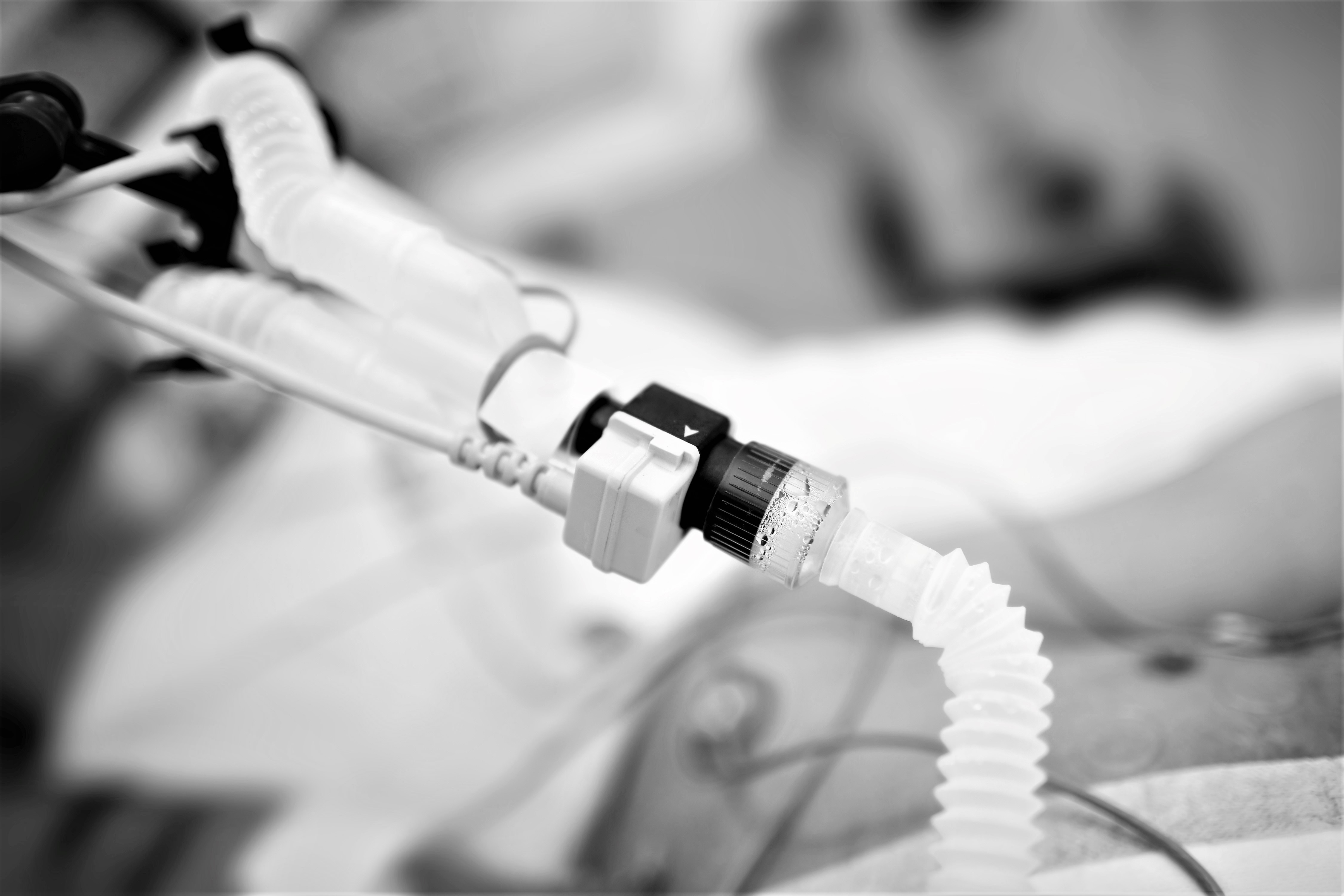 COVID-19 Vaccination: Is it Time for a Bespoke COVID-19 Compensation ...